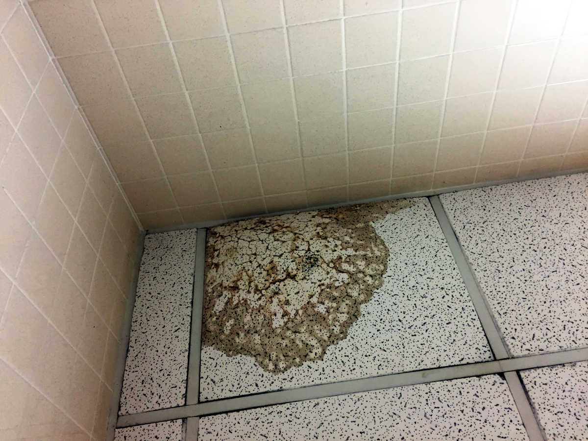 6 Common Signs of Roof Damage - What You Should Look For