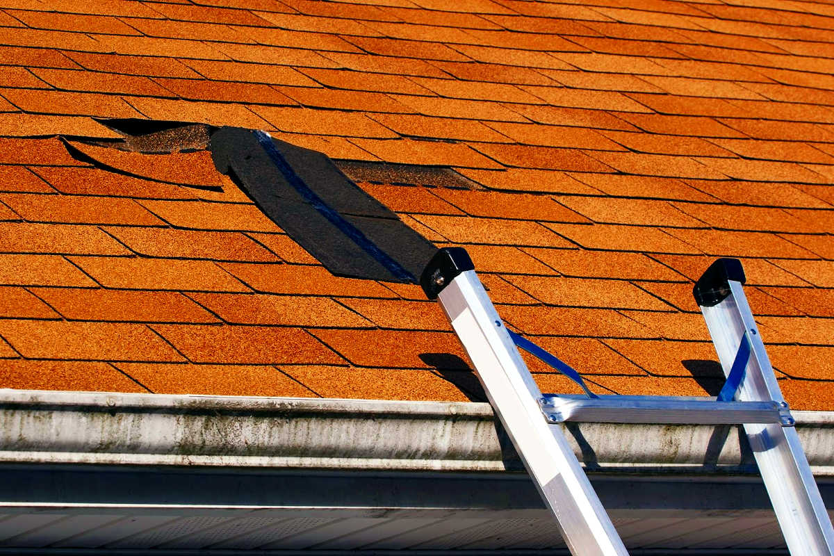 6 Common Signs of Roof Damage - What You Should Look For